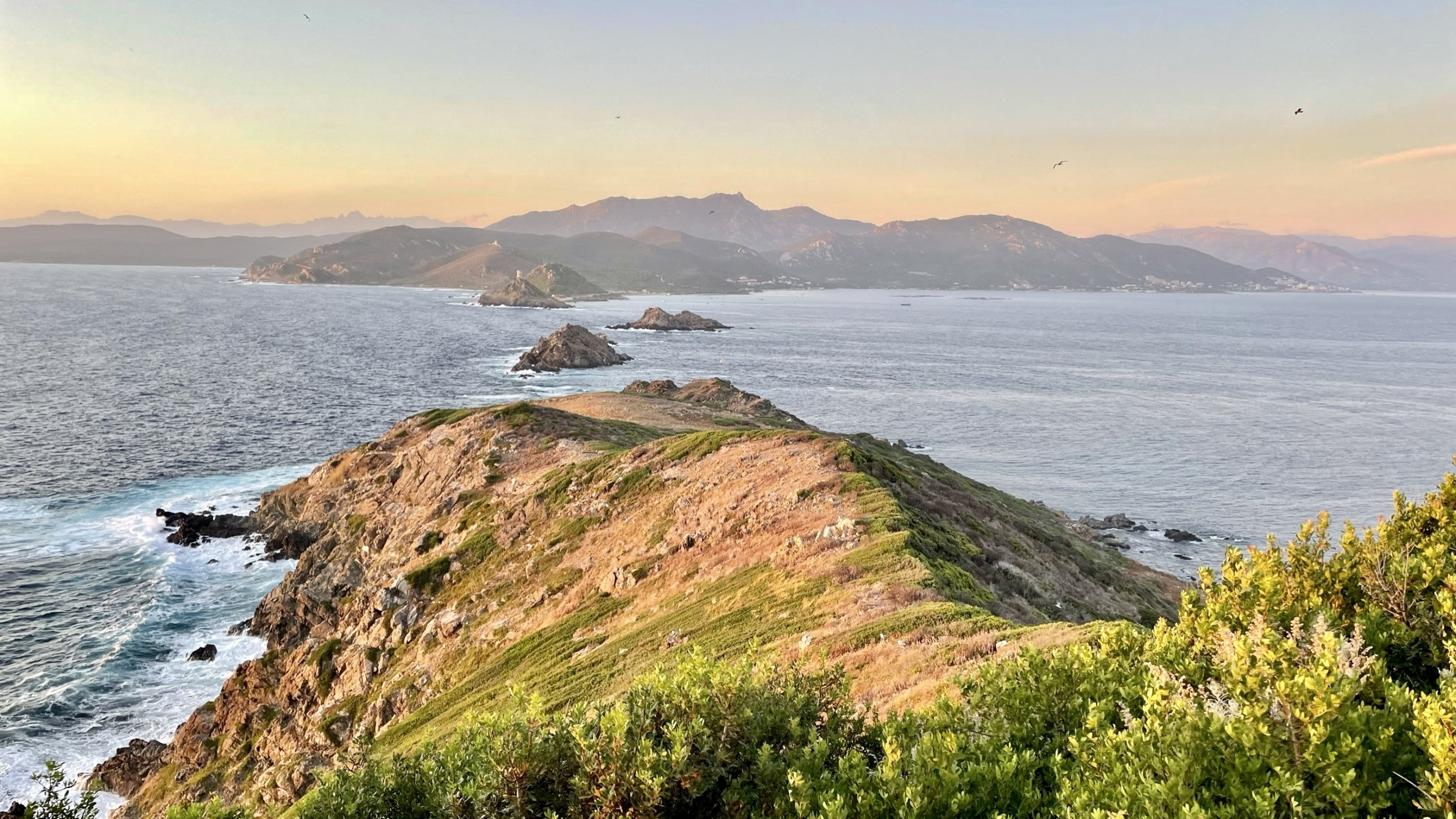 Activités en Corse du Sud - JAPP